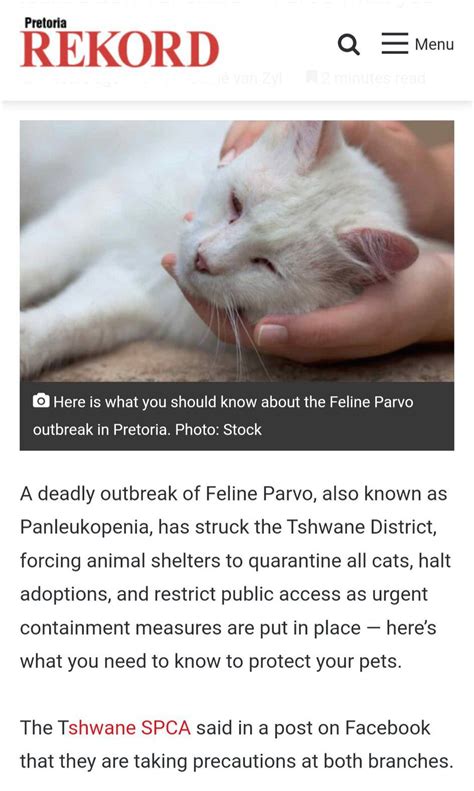 The Cat Shack Cc Added A New Photo The Cat Shack Cc