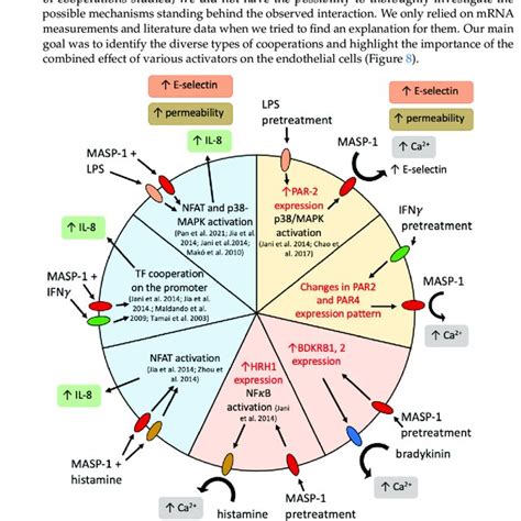Complement Masp 1 And Other Proinflammatory Factors Cooperated In The