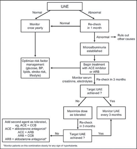 Albuminuria Causes Symptoms Treatment Albuminuria