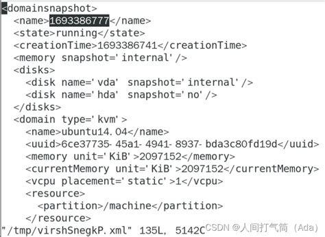 【超详细~kvm】kvm概述、安装及简单操作 从小白到大神之路之学习运维第91天 Csdn博客