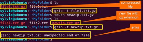 The “gzip” Command In Linux 9 Practical Examples