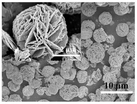 Photoelectrochemical Chloramphenicol Detection Method Based On Bismuth Tungstate Eureka Patsnap