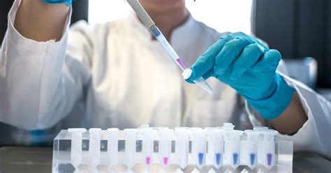 Quantum Computer Science In Scientific Research