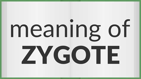 Zygote Definition Biology
