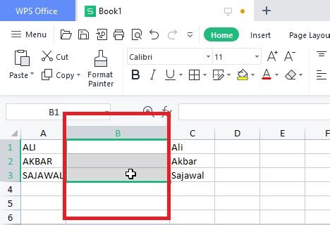Pelmel Self Valley Excel Convert To Caps Spine Extremely Important Calculation