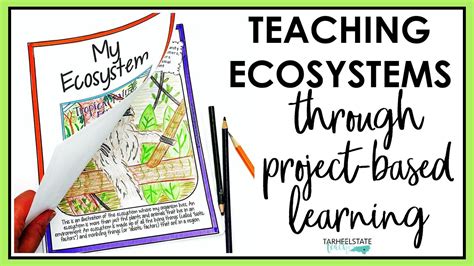 Ecosystem Lesson High School A Learning Ecology Perspective Of Energy