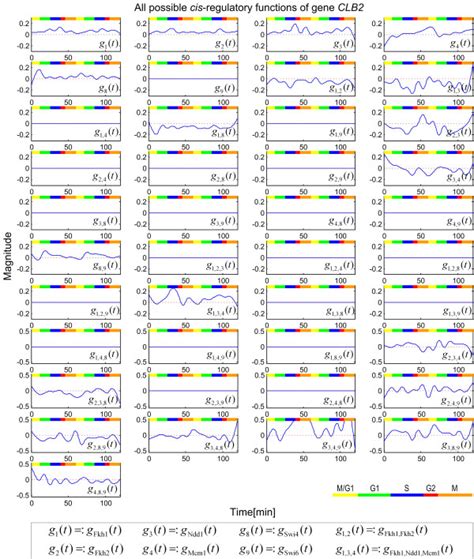 All Estimated Cis Regulatory Functions Including The Regulatory