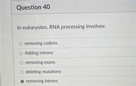 Solved Question In Eukaryotes RNA Processing Involves O Chegg