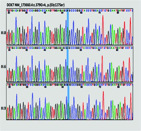 Gene Sequence Of The Three Active Cases Download Scientific Diagram