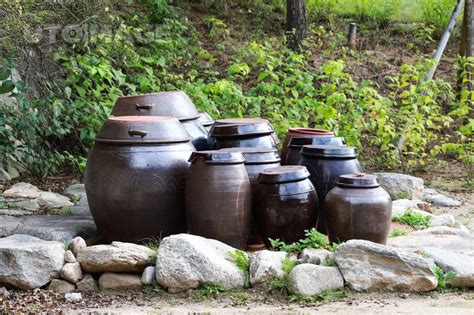 장독대 장독대 Onepro 사진 한국 토속적 옛스러움 장독대 항아리 단지 여행지 나무 잎사귀 숲 풍경 한국풍경 뚜껑 항아리뚜껑 간장 고추장