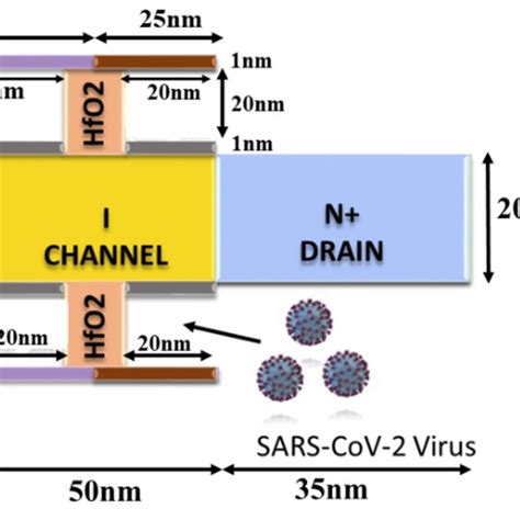 Detection Of Sars Cov 2 Using Dielectric Modulated Tfet Based Biosensor Request Pdf