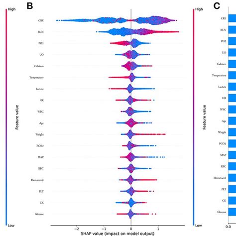 Features Importance Estimated Using The Shapley Additive Explanations