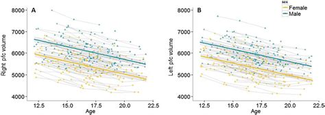 Modeling Individual Differences In Brain Development Pmc