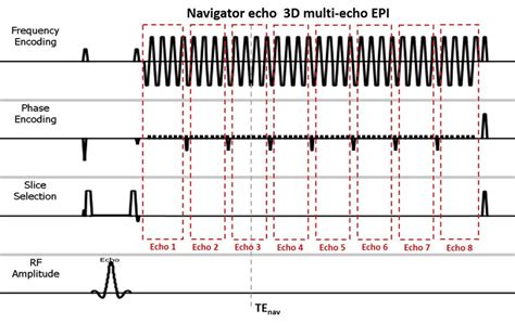 2 Diagram Of 3d Multi Echo Epi Based Navigator Echo Download