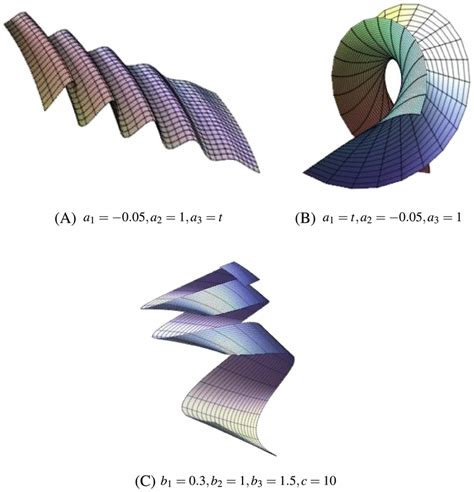 Accretive Surface Growth Model With Timelike W‐curves [colour Figure