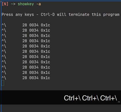 my simple gnu screen set up 🧑‍💻 tmux alternative dev community
