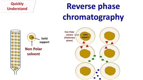 Rpc A Liquid Chromatography Technique For Alkyl And Aromatic Molecules Malika Bessissi Posted