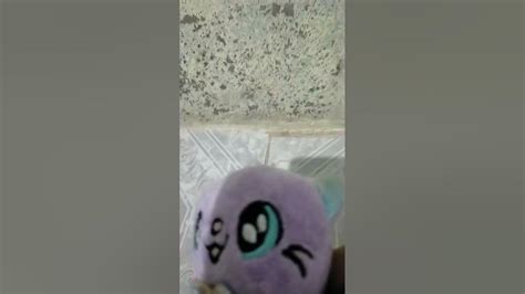 Chpi Chipi Chapa Youtube