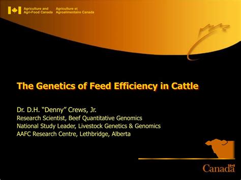 Ppt The Genetics Of Feed Efficiency In Cattle Powerpoint Presentation Id147826