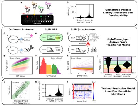 High Throughput Ht Assays Were Evaluated For The Ability To