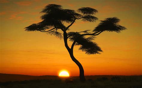 1920x1200 Masai Mara Sunrise 1080p Resolution Hd 4k Wallpapers Images