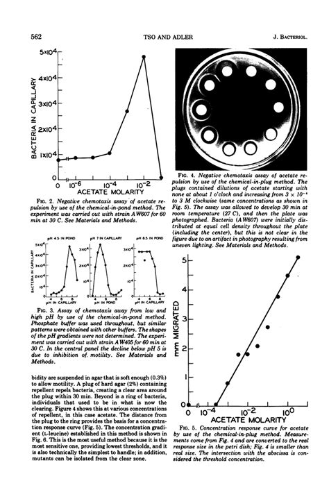 Negative Chemotaxis In Escherichia Coli Pmc