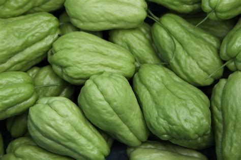 차요테효능 및 차요테 먹는방법 차요테 수홧 네이버 블로그