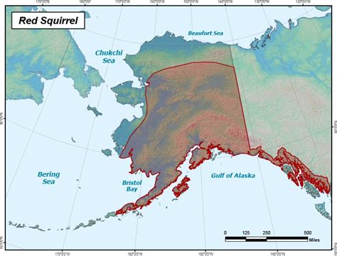 Eastern Fox Squirrel Range