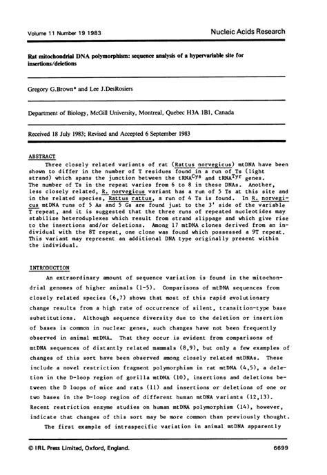 Pdf Rat Mitochondrial Dna Polymorphism Sequence Analysis Of A Hypervariable Site For