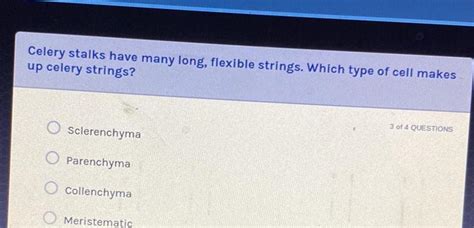 [answered] Celery Stalks Have Many Long Flexible Strings Which Type Of