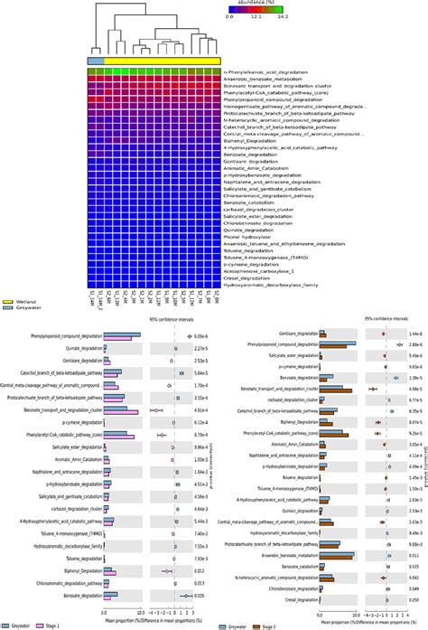 Functional Annotation Of Metagenomes Gw And Vfcw Classified Against