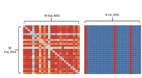principle of feature identification by using multiple ms2 left a