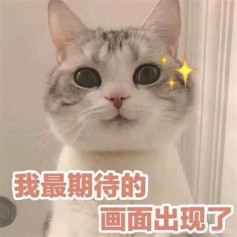 【转】plt Plot的颜色 Plt Plot 颜色 Csdn博客