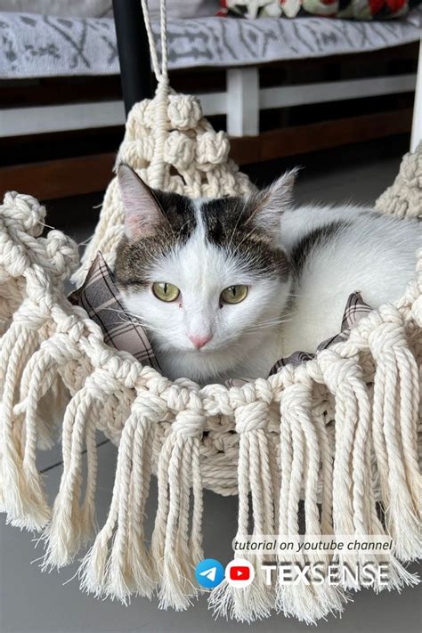 Идеи на тему «diy Macrame Cat Hammock Tutorial 33 кошачий гамак макраме кошачьи кровати