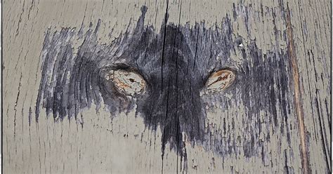 Grandfogger Photographer Songwriter Webdesigner Timber Wolf