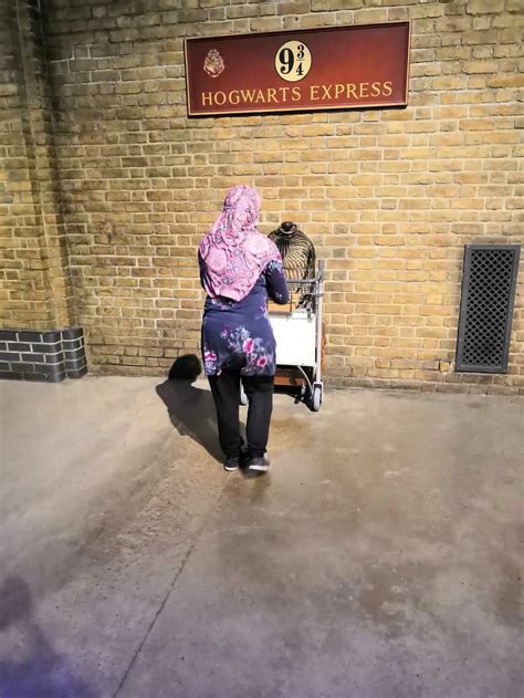 Veela Harry Potter Guide Wizards Welcome