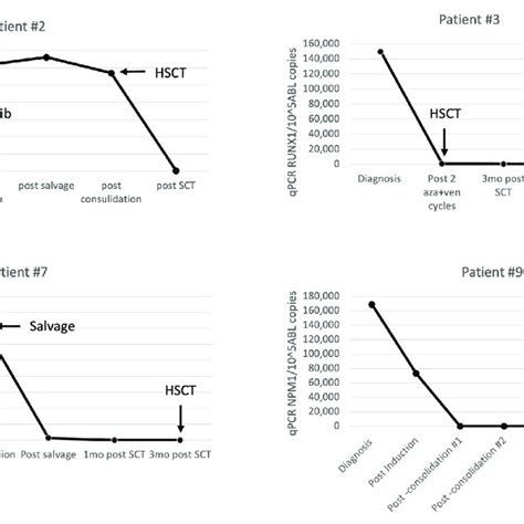 Copy Number Variation Along The Clinical Course Of Selected Patients