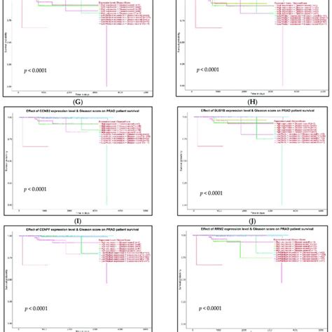 Predictive Survival Analysis Based On The High Or Low Expression Of 12