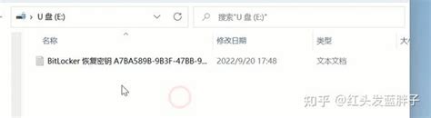 Bitlocker到底有什么用？被蓝屏锁定了如何恢复？ 知乎