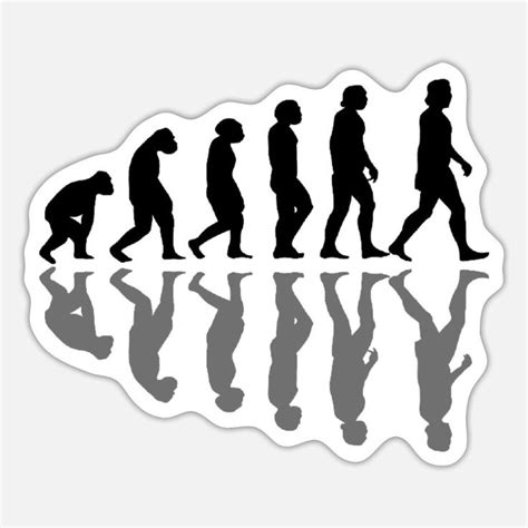Theory Of Evolution Darwin Sticker Spreadshirt Theory Of