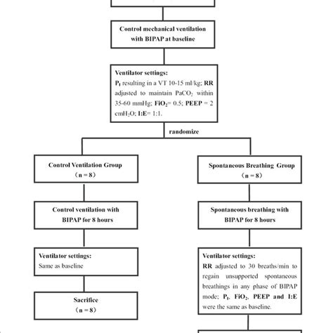 Flow Chart Of Experiment BIPAP Biphasic Positive Airway Pressure FiO Download Scientific