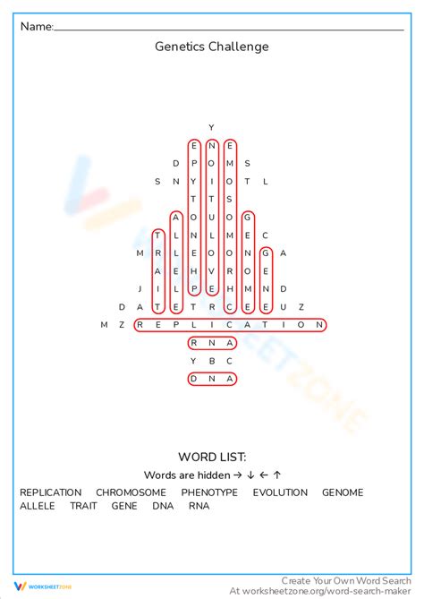 Genetics Challenge Worksheet Worksheets Library