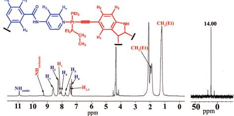 H Nmr Left And P Nmr Right Spectra Of The Macrocycle
