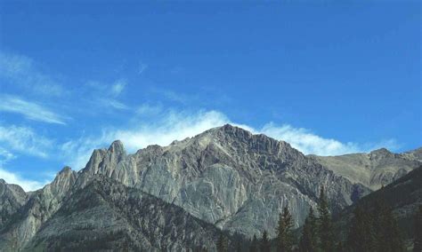 The Evolution Of Mobile App Development Frameworks — Association Of Registered Web Designers