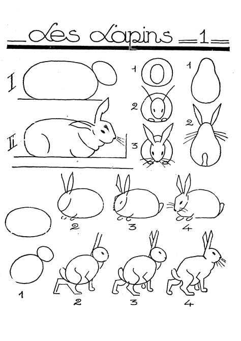 How To Draw A Rabbit Running Step By Step