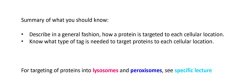 Lecture 10 Protein Sorting Flashcards Quizlet