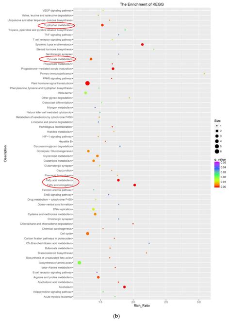 Dynamic Transcriptome Analysis Reveals Uncharacterized Complex