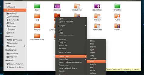 Nautilus Nemo `folder Color` Extension Gets Support For Custom Colors