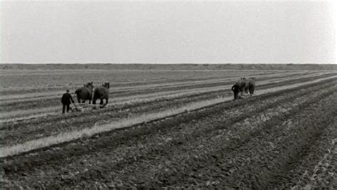 Bbc Archive 1953 Ploughing Interlude Bbc