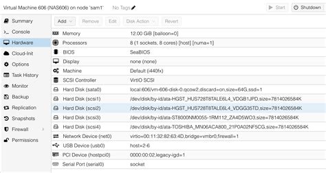 After Upgrading To V11 Beta2a The Original Rdm Scsi Disk Is Not Recognized · Issue 651